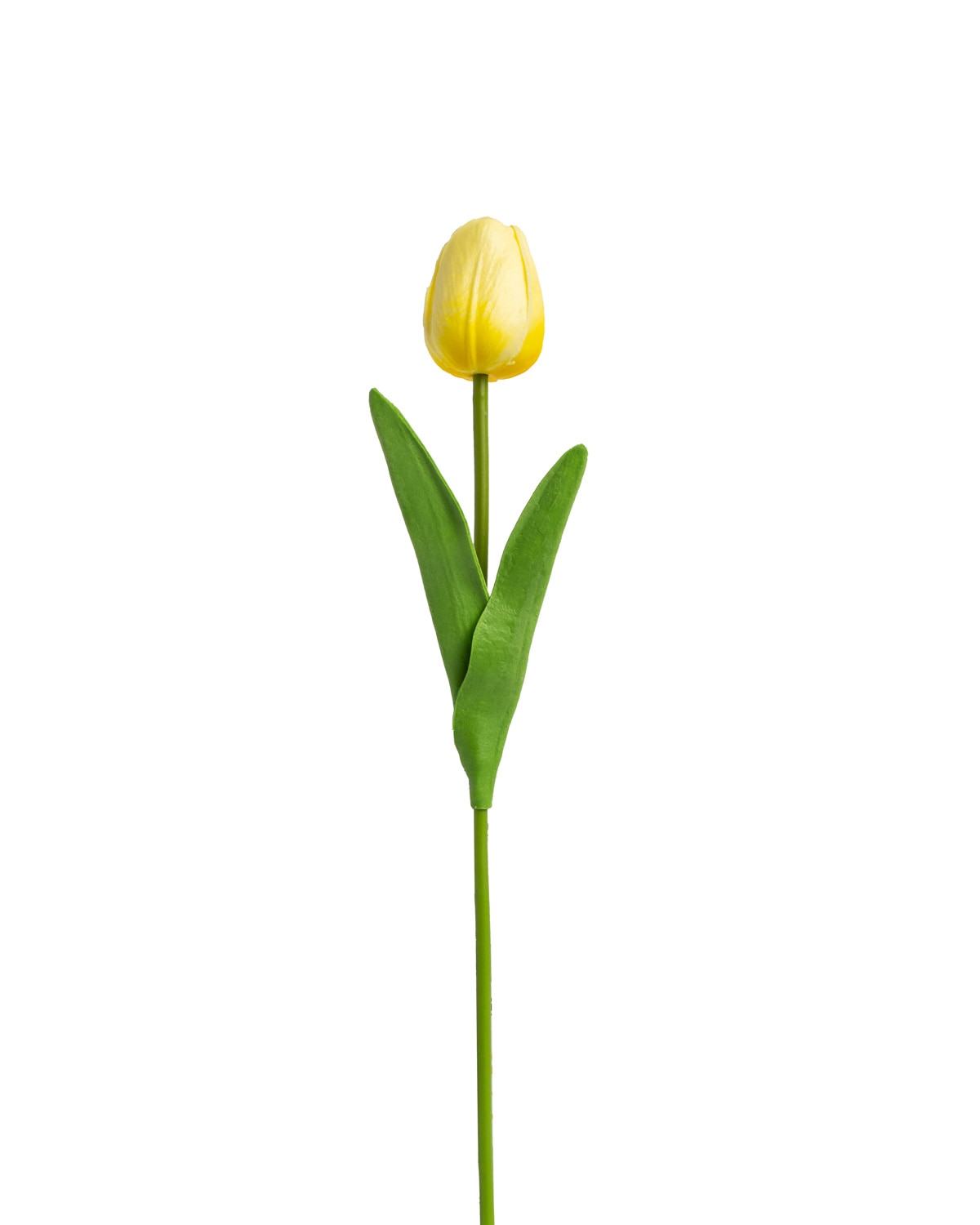 Celine Tulip Stem in Yellow | The Royal Standard